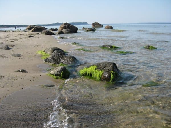 Urlaub in Fuhlendorf ☀️ Ostsee Magazin