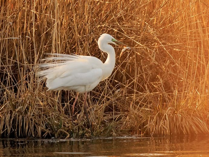 Neu Mukran im Urlaub erleben ☀️ Ostsee Magazin
