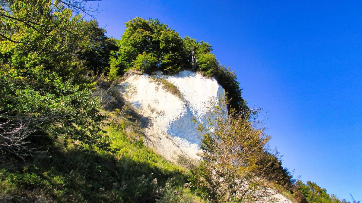 Rügener Heilkreide ☀️ Ostsee Magazin